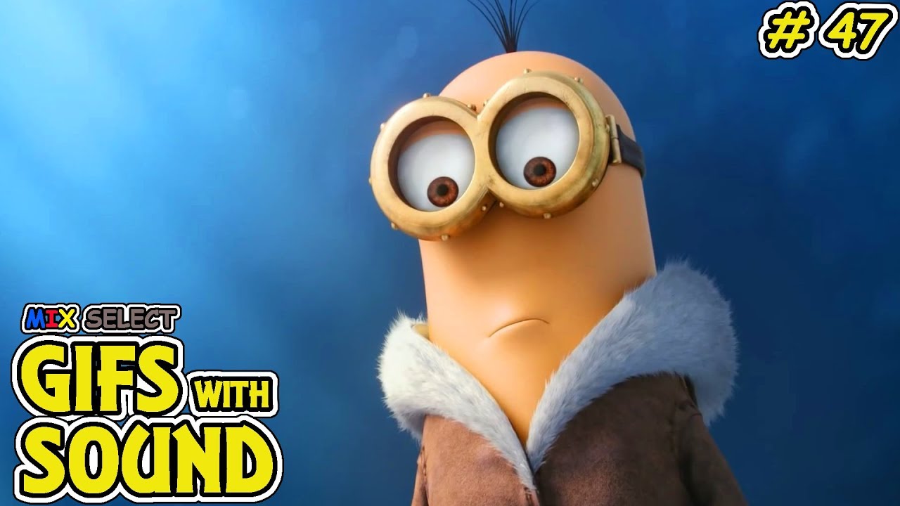 Gifs With Sound Compilation #47 | Mix Select - YouTube