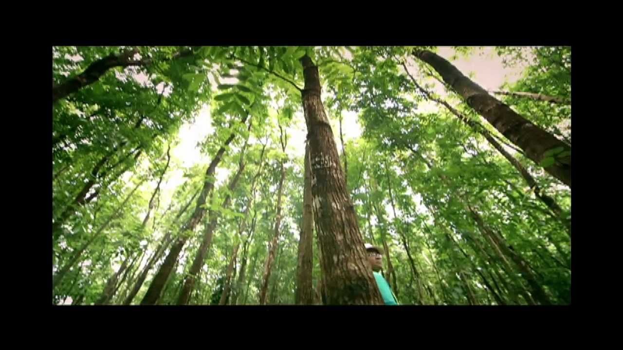 TV AD Rio Tuba Nickel Mining Corporation -- Minamana - YouTube