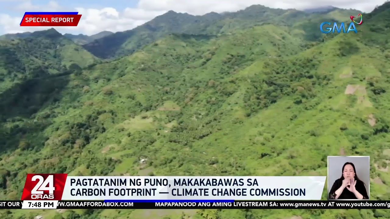 Pagtatanim ng puno, makakabawas sa carbon footprint -- Climate Change ...