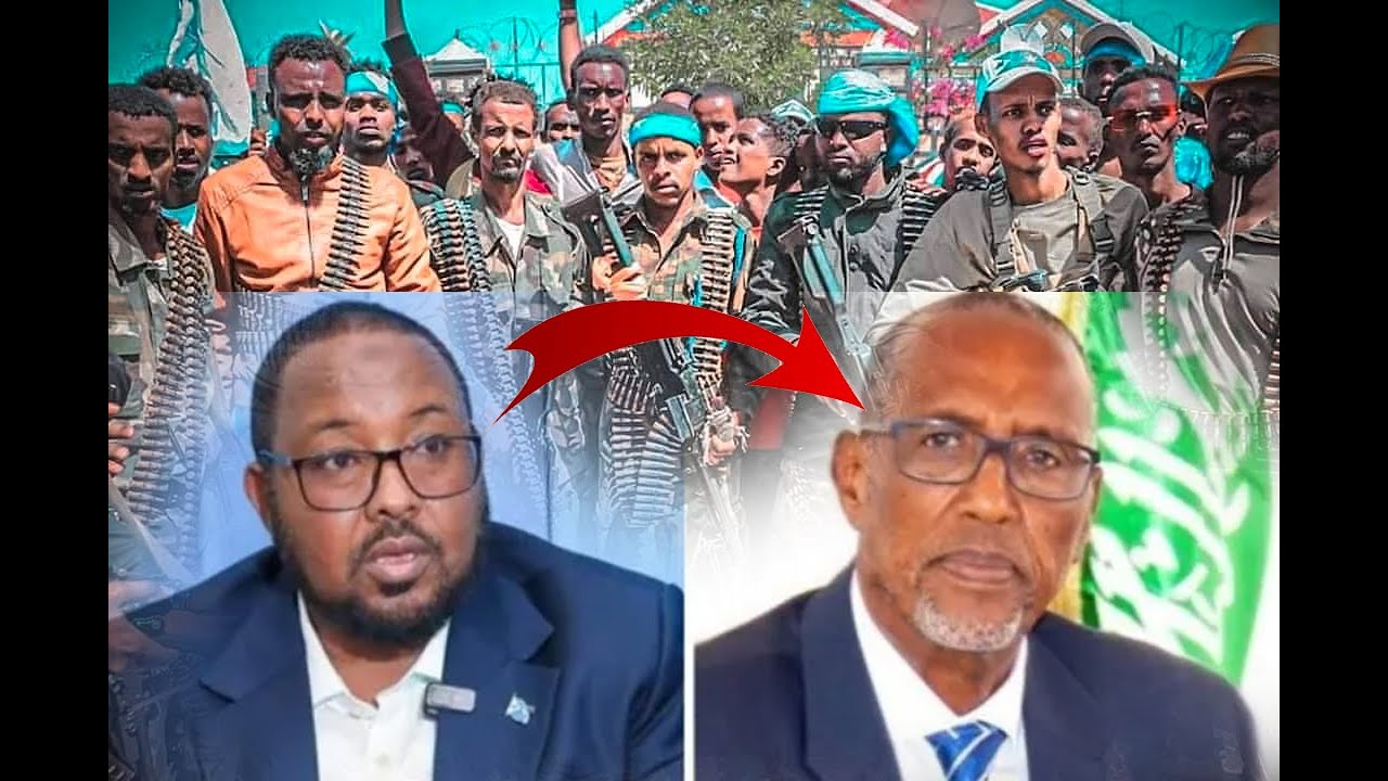 Dhulbahante Iyagaa Laasacanood Roog Cas U Dhigaya Muuse Biixi - YouTube