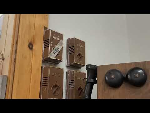 DEMC ceiling fan controls