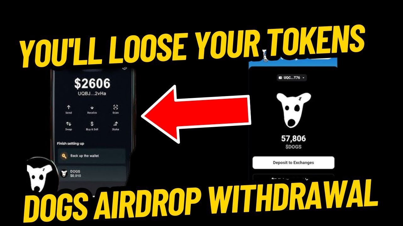 How to withdraw your $Dogs AirDrop to Exchange Correctly - YouTube