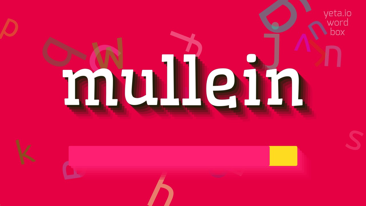 How to say "mullein"! (High Quality Voices) - YouTube