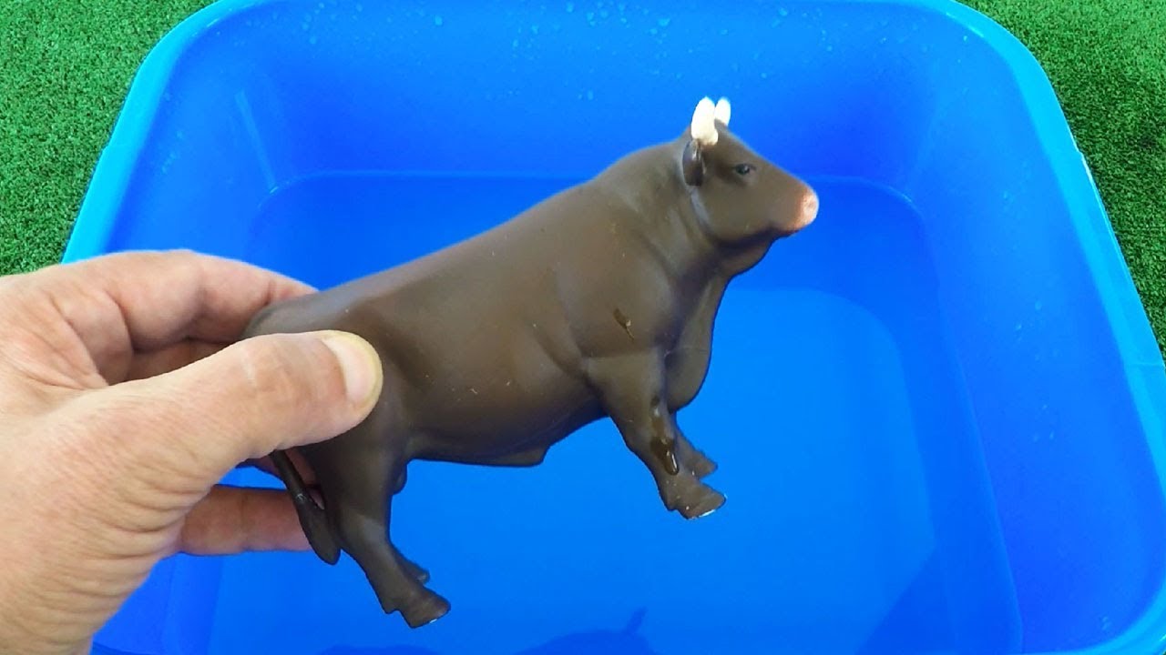 Learn Farm Animals and Wild Animals Sea Animal Insects Names Insects ...