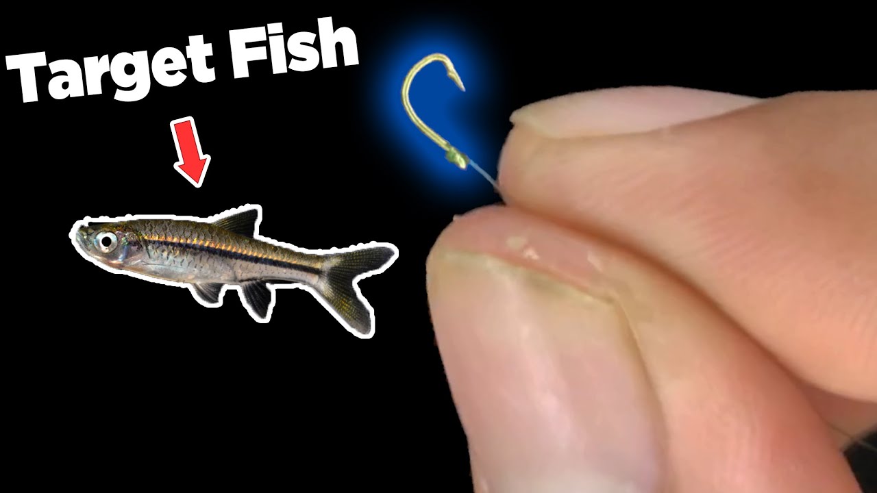 Cara Mengikat kail Pancing Wader untuk Pemula | Ukuran 0 8 - YouTube