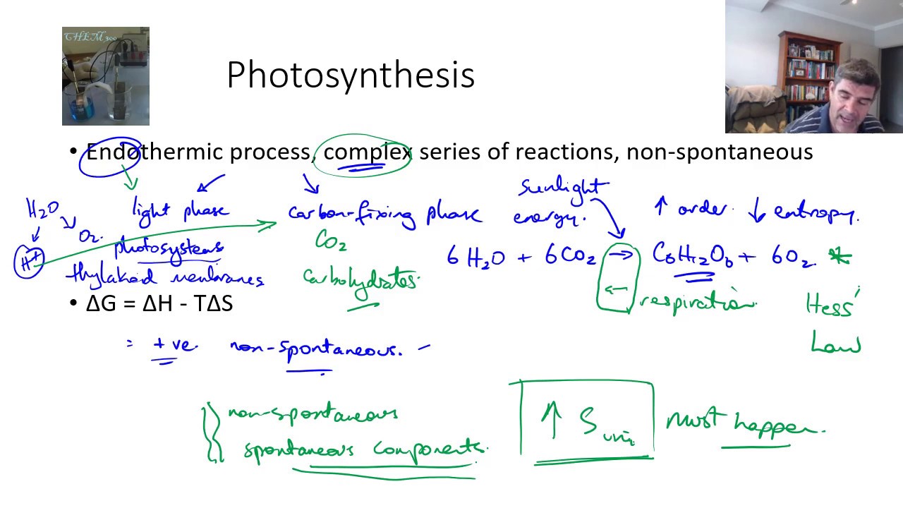 EAR#4 Enthalpy Entropy and Photosynthesis - YouTube