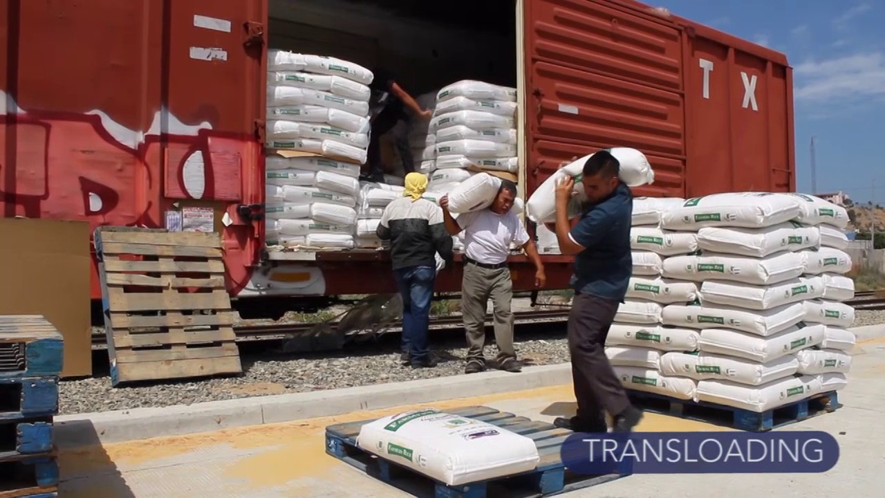 Rice Transportation and Transloading - YouTube