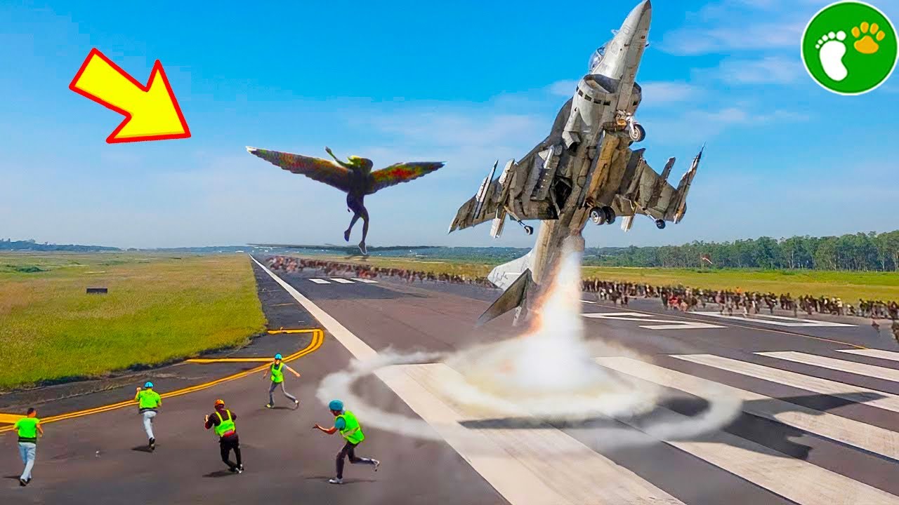 Top 50 Incredible Moments Caught On Camera#8 - YouTube