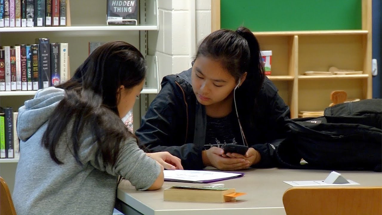 Osseo Library - YouTube