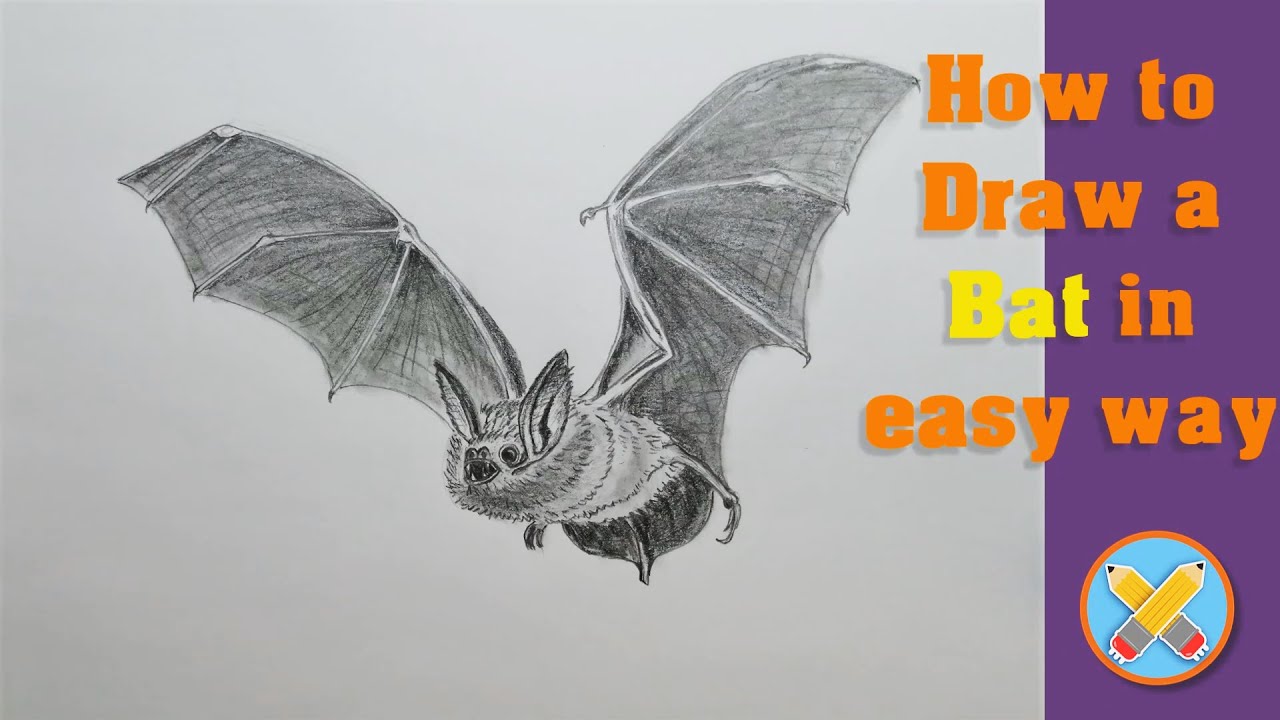 how to draw a bat - YouTube
