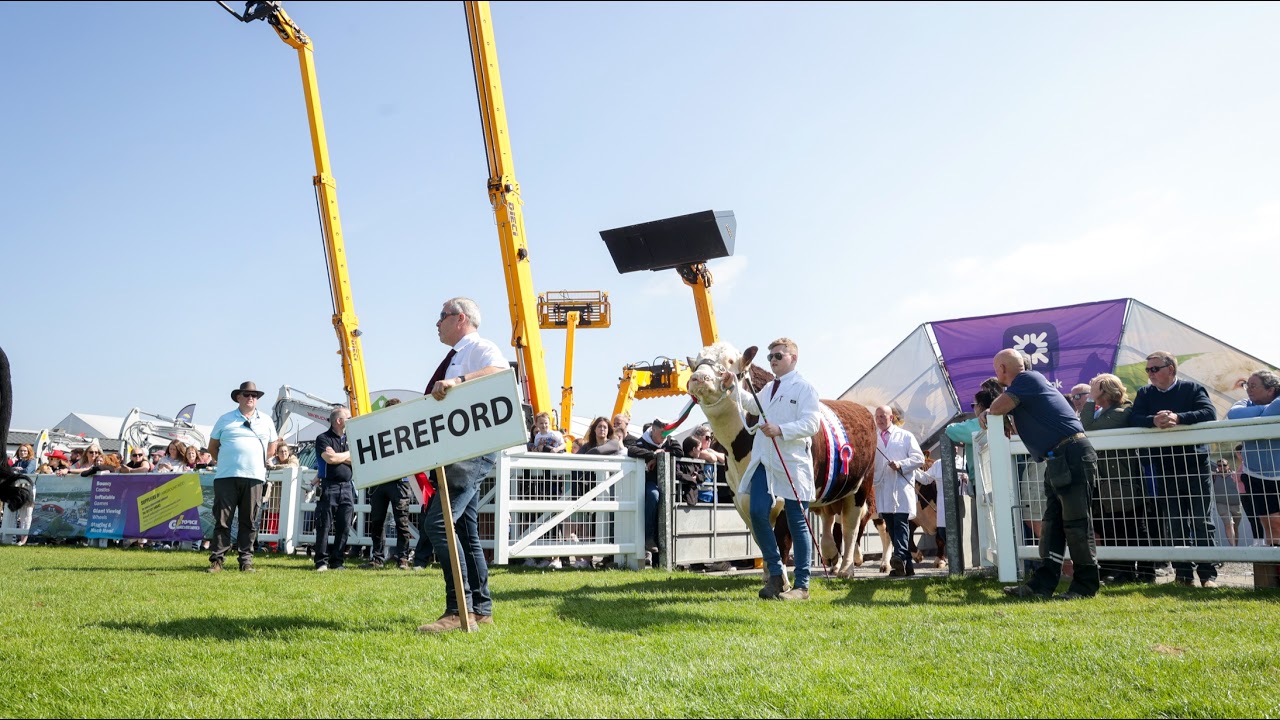 14 May 2025 - Main Arena at Balmoral Show 2025 - Brought to you by ...