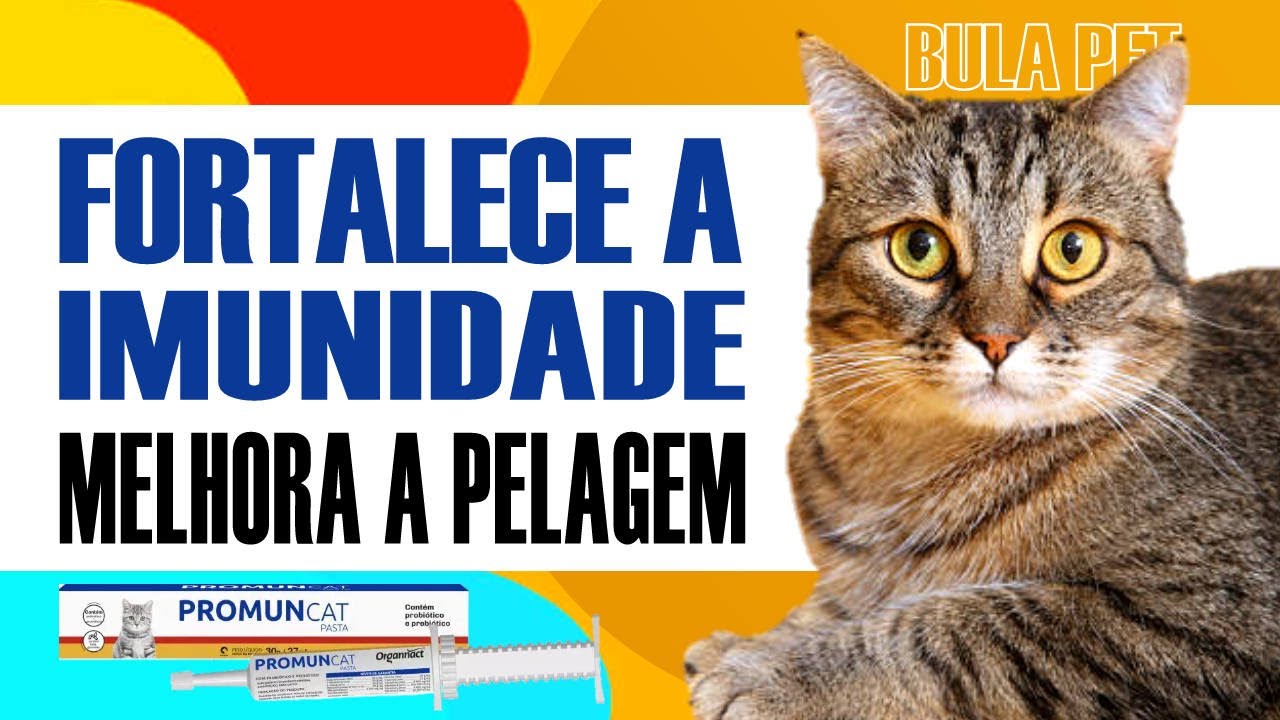 Suplemento Vitamínico - Promun Cat Pasta - YouTube