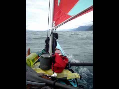 Sailing Sausage Dog - YouTube