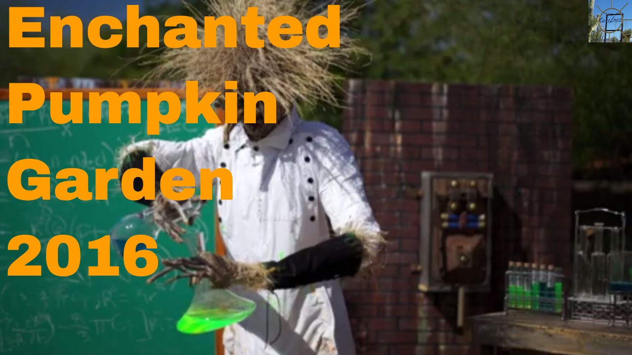 Enchanted Pumpkin Garden 2016 Part 2 - YouTube
