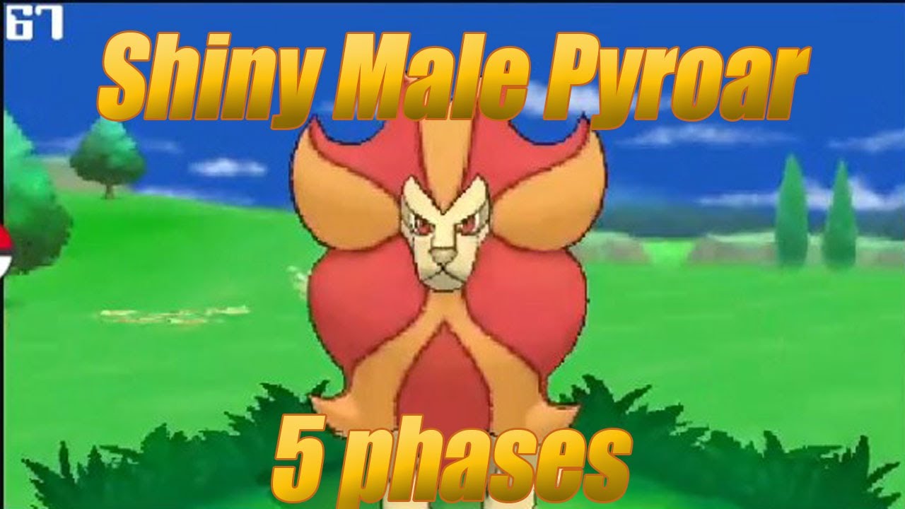 Live Male Shiny Pyroar - 5 phases - Pokemon X - YouTube