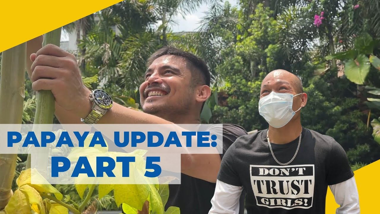 Papaya Update Part 5 - YouTube