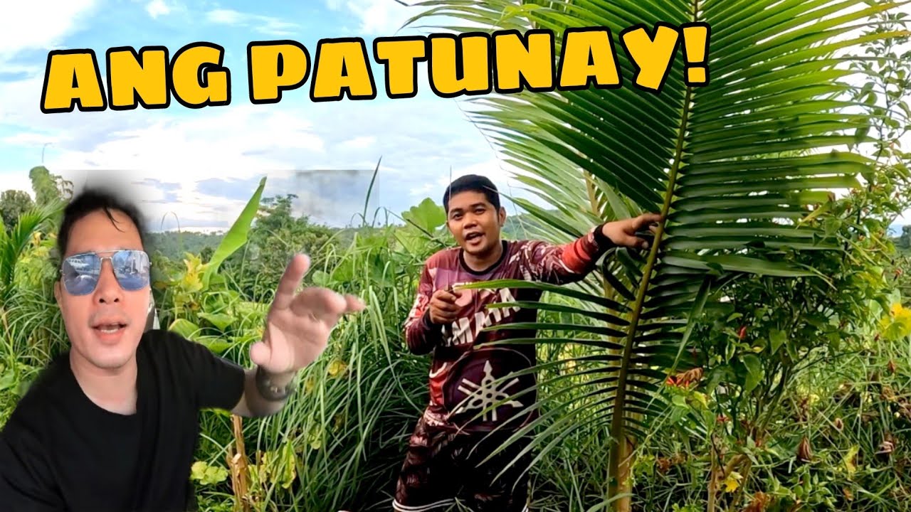 UTOL JOHN RIOT NALOKO KAYA! |COCONUT DWARF| BURDS JASON - YouTube