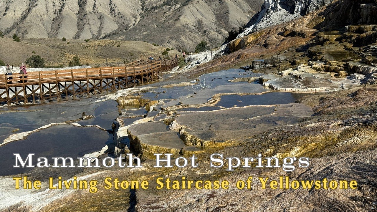 Mammoth Hot Springs: The Living Stone Staircase of Yellowstone - YouTube