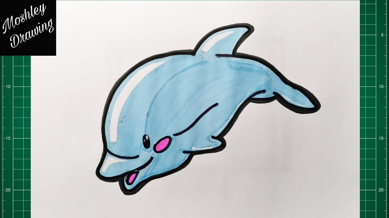 How to Draw a Baby Dolphin - YouTube