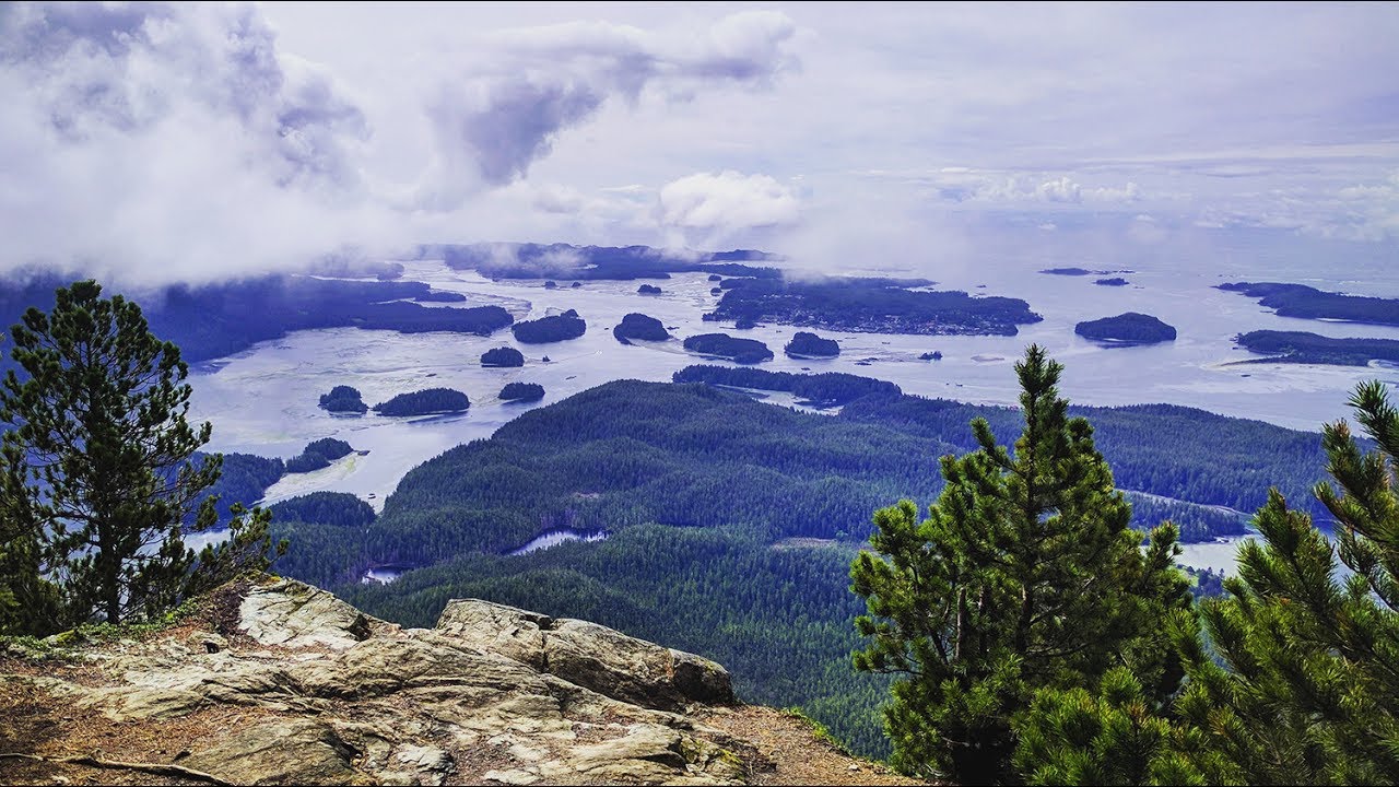 Meares Island Exploration - YouTube