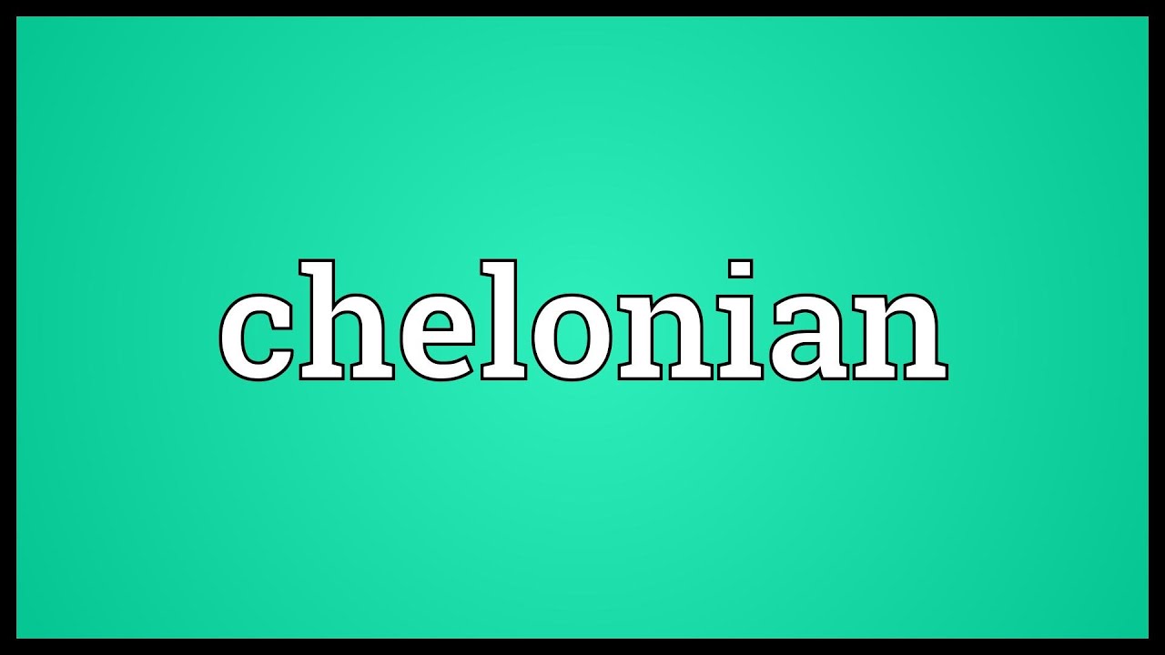 Chelonian Meaning - YouTube