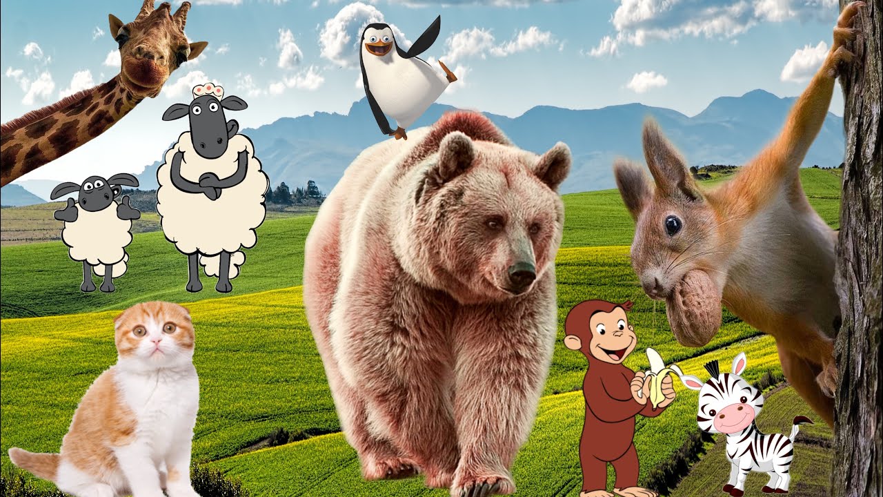 CUTE LITTLE ANIMALS SOUND- Dog, Cat, Chicken, squirrel, cow.. - ANIMAL ...