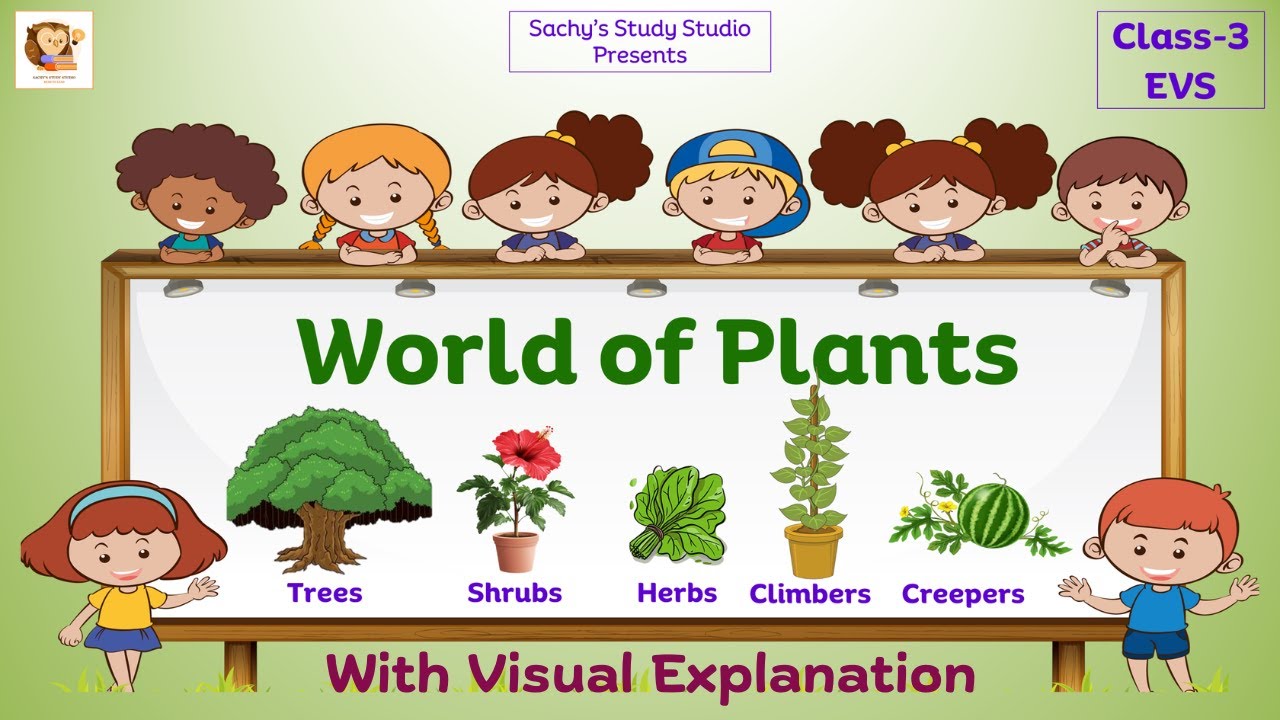 🌱World of Plants | Types, Parts & Uses of Plants | Class 3 Science ...