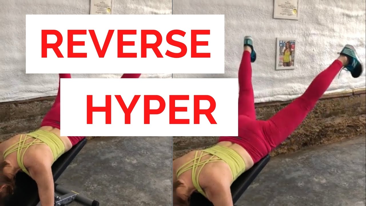 Reverse Hyper - YouTube