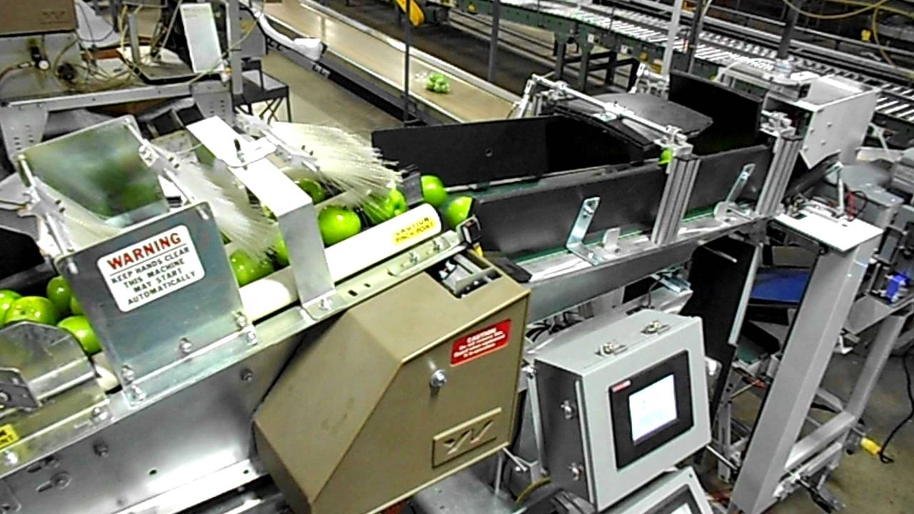 Automatic Apple Scale and Bagger - YouTube