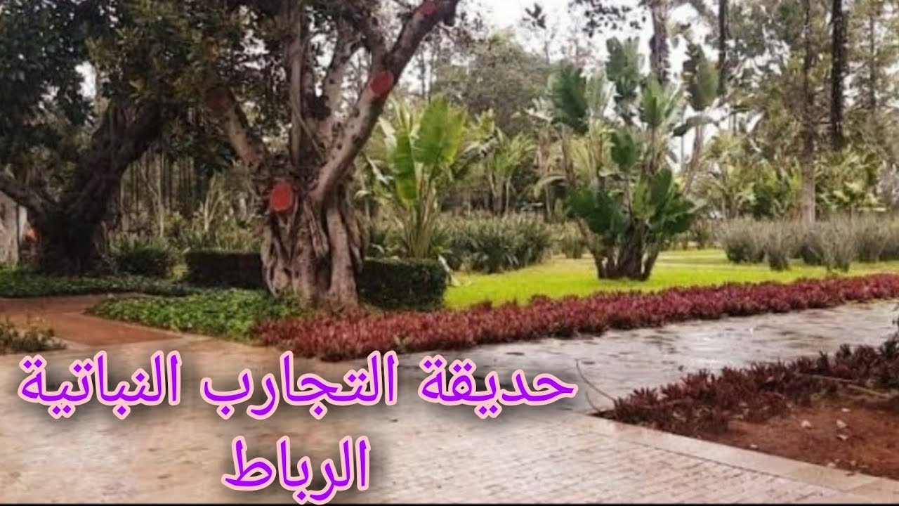 jardin d'essais botanique Rabat, حديقة التجارب النباتية الرباط - YouTube