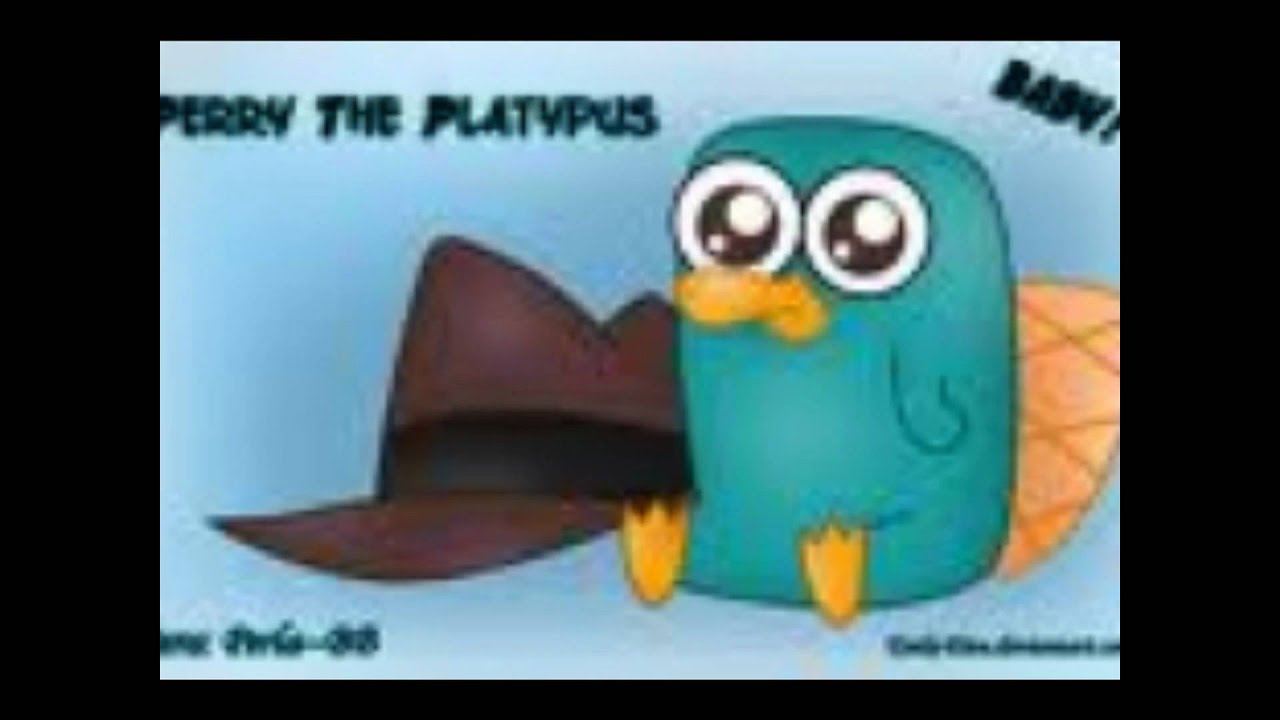 Perry the Platypus Theme song - YouTube