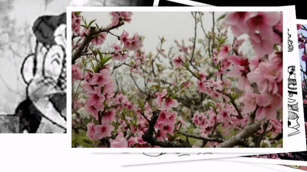 Chuc Xuan - Chúc Xuân [DMV] [Duong Trieu Vu - Van Quynh] - YouTube