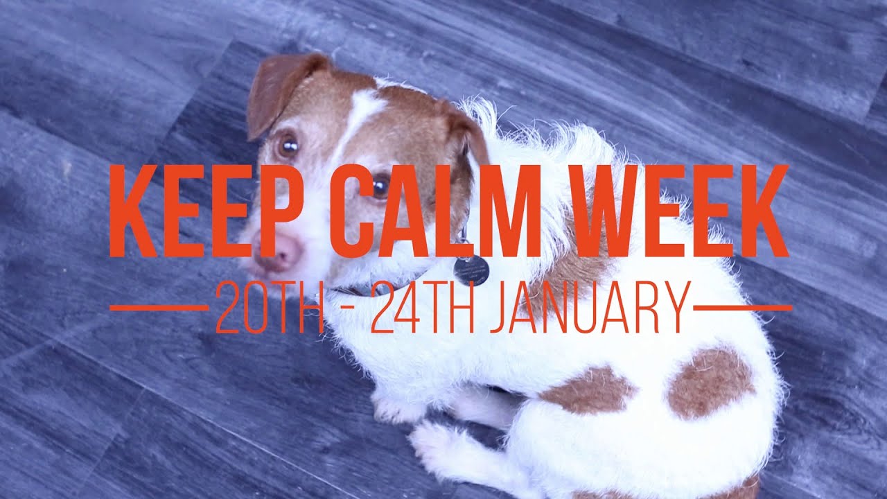 Keep Calm Week | LSUTV - YouTube