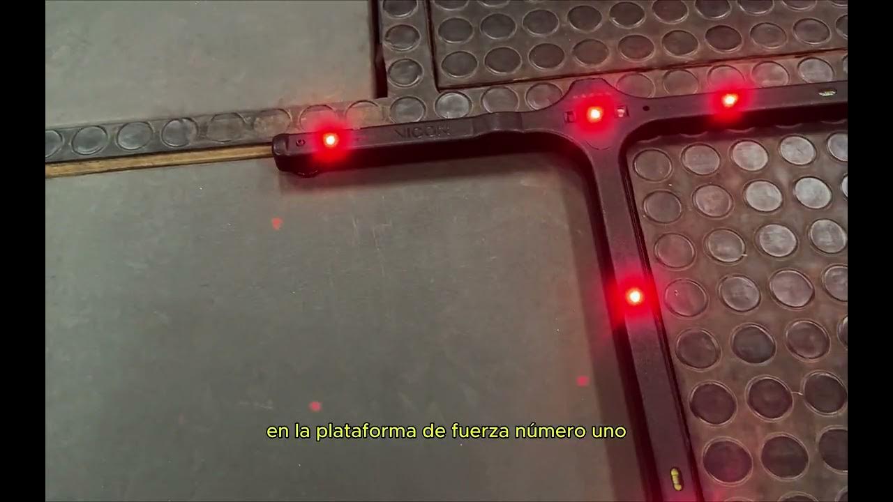 Tutorial Vicon Nexus - Basic Workflow - YouTube