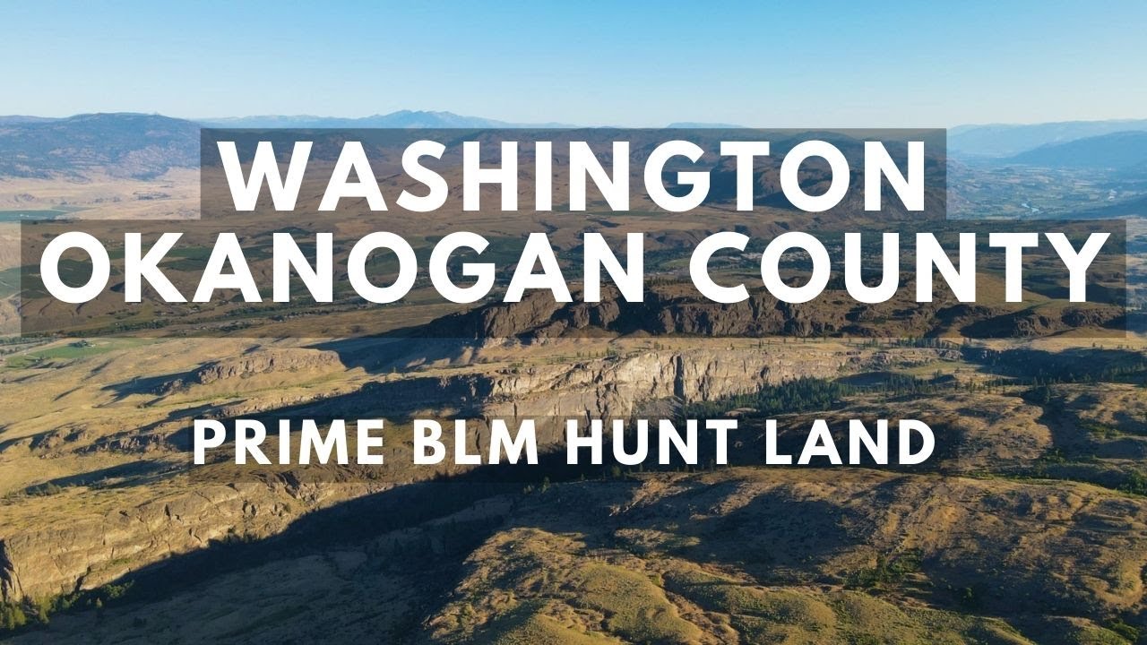 40 Acres Off-Grid with Prime BLM Hunt Land Access (Land for Sale in ...