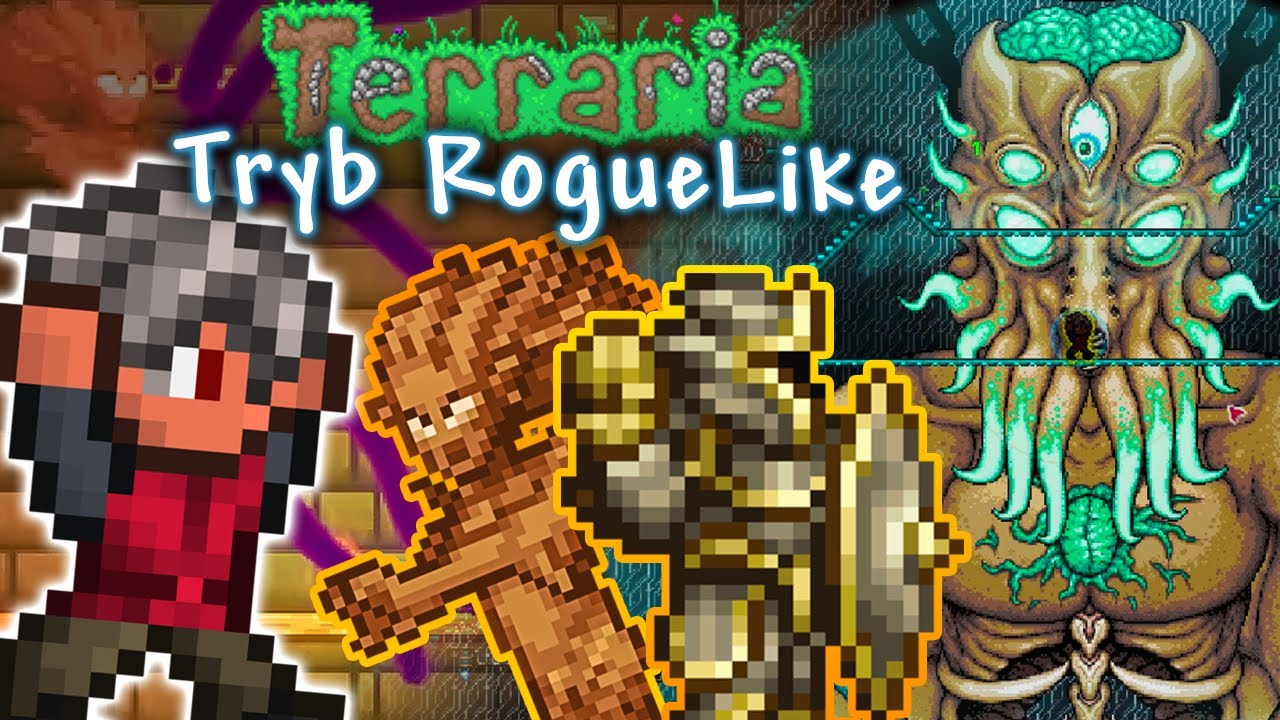 TERRARIA RogueLike to znakomity pomysł 🌳 Terraria TerRoguelike - YouTube
