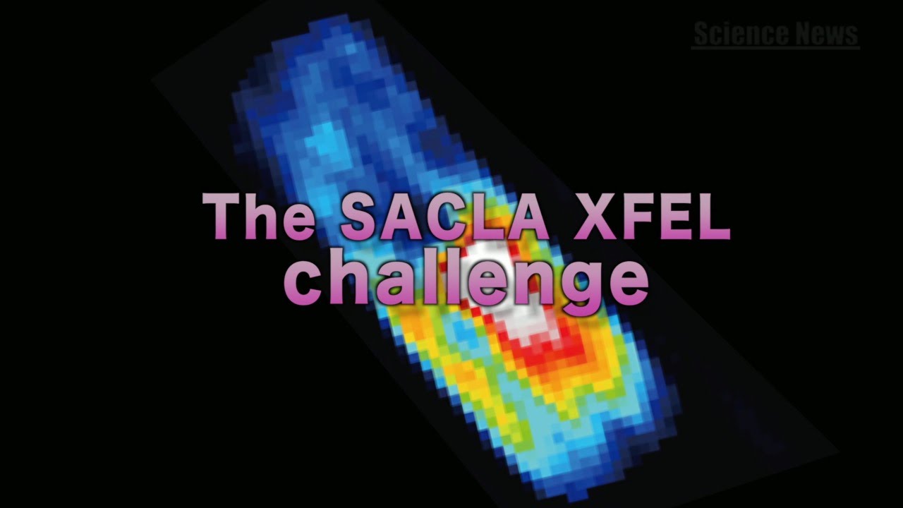 [ScienceNews2014]The SACLA XFEL challenge: Observing living cells - YouTube