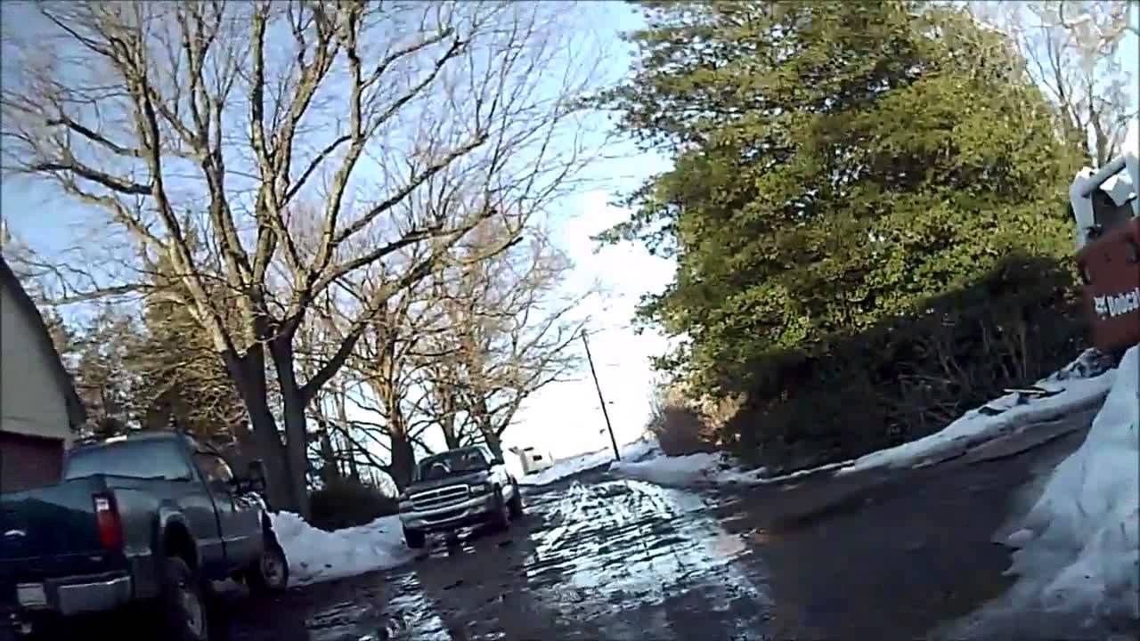 A Dog goes for a run at Highland hill farm - YouTube