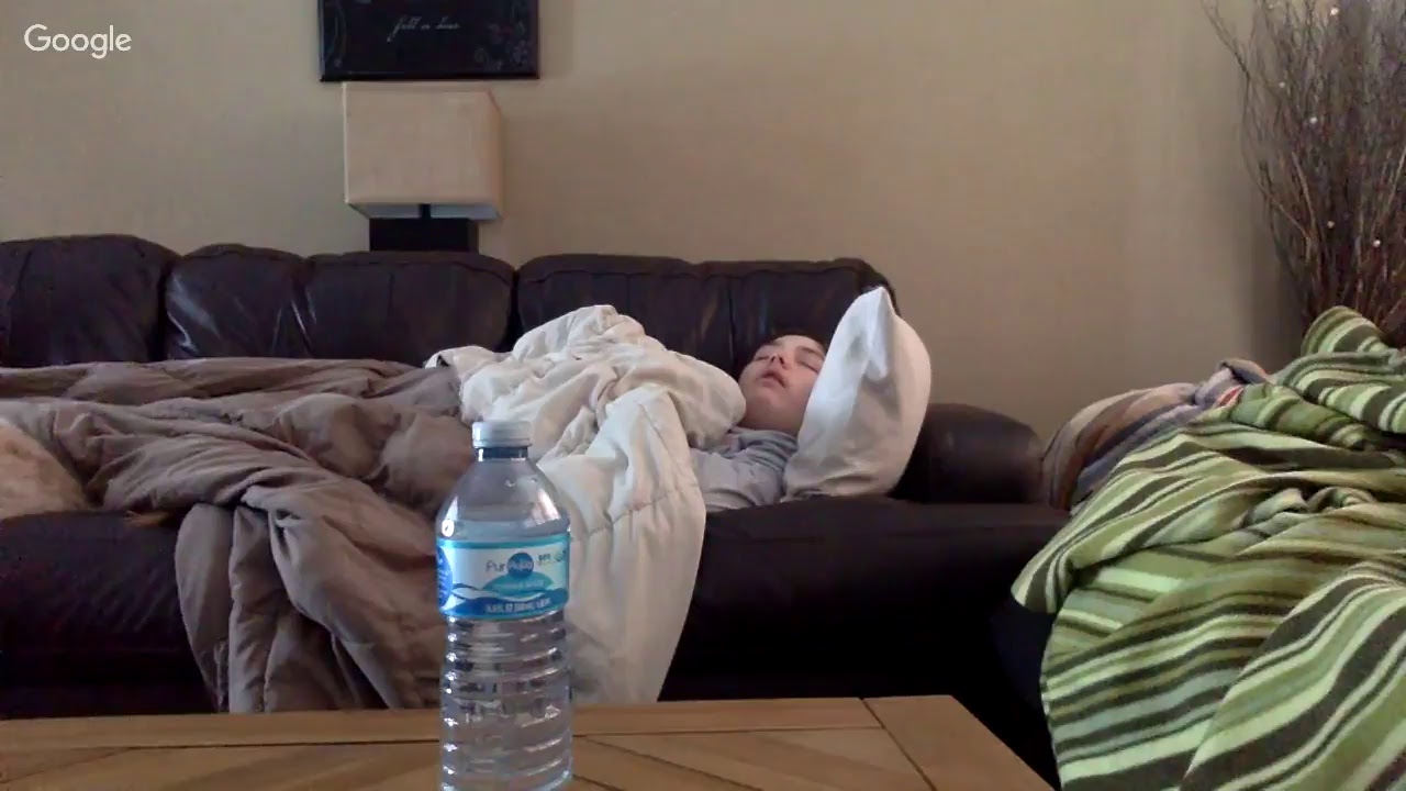 Overnight Stream (Sleeping) - YouTube