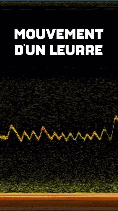 COMMENT FONCTIONNENT LES SONARS - YouTube