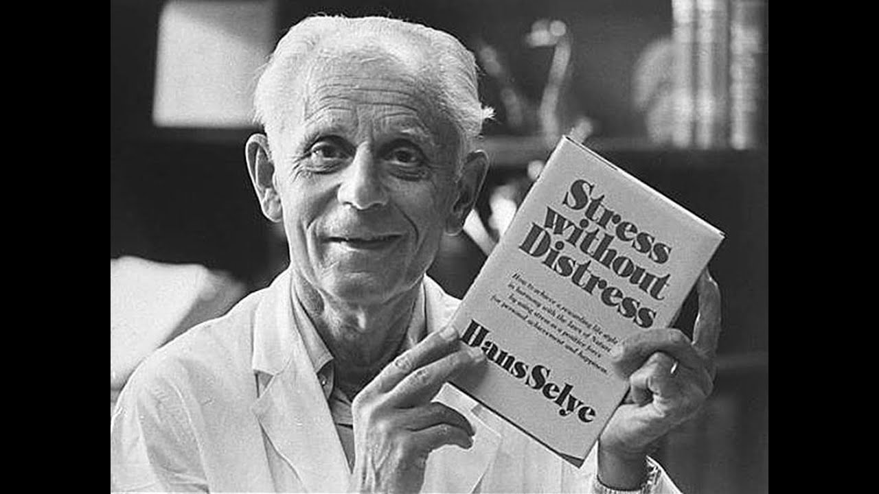 Теория Стресса Х.Селье и NBS. Theory of Stress from H.Selye. - YouTube