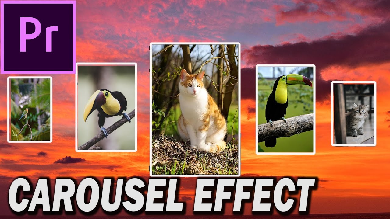 TUTORIAL CARA MEMBUAT CAROUSEL EFFECT DI ADOBE PREMIERE PRO - YouTube