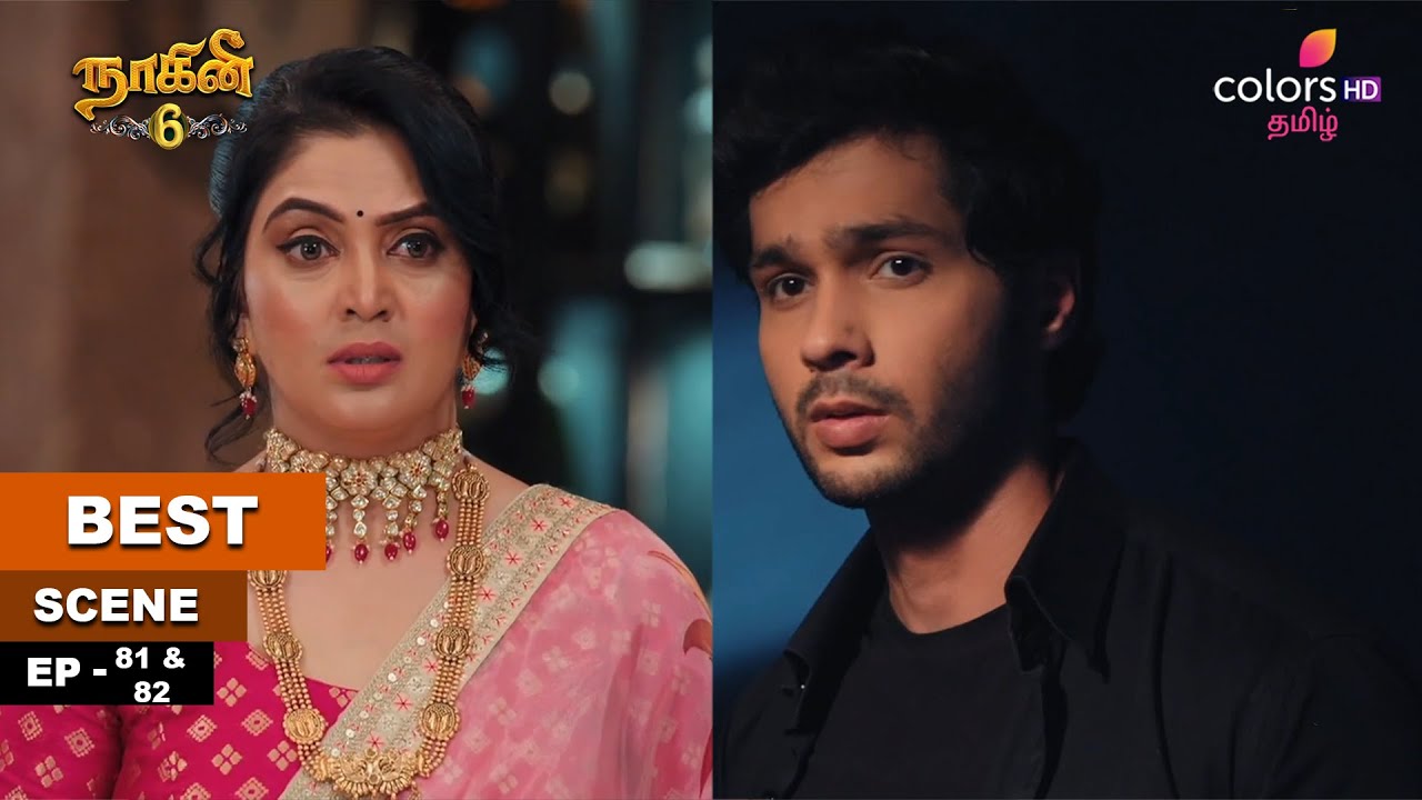 நாகினி S6|Rithvik explains truth | ரித்விக் உண்மையை விளக்குகிறான்|Ep 81 ...