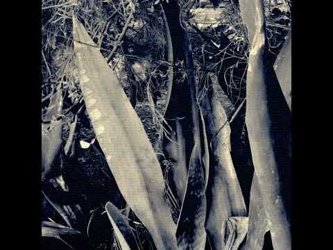 RA-1 [ES-D-001] 2025