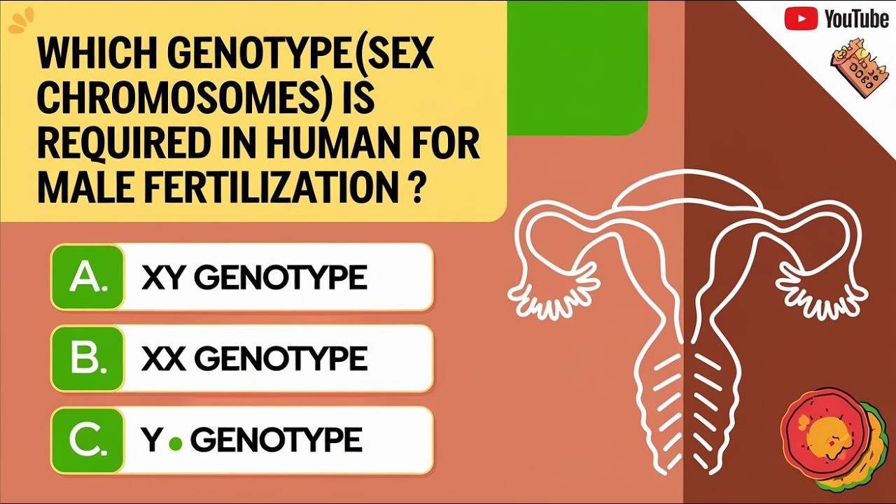 Female Reproductive System MCQs - TEST YOURSELF - YouTube