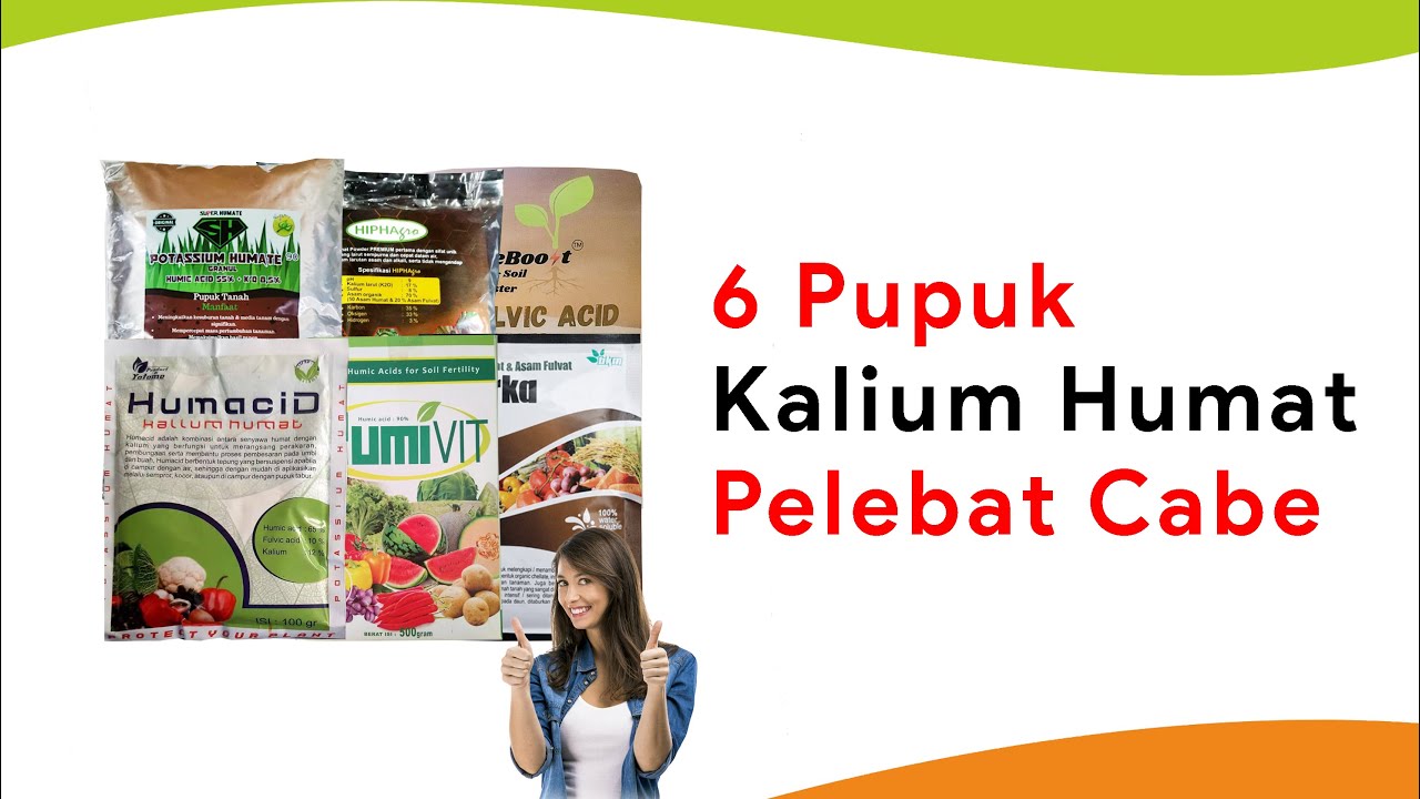 6 Pupuk Kalium Humat, Pelebat Buah Sekaligus Penyubur Tanah - YouTube