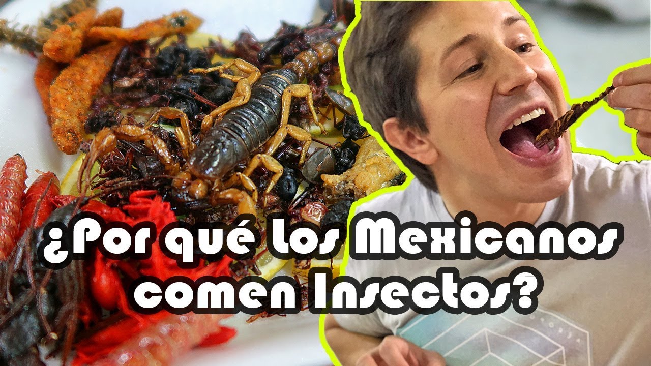 PROBANDO INSECTOS EN MEXICO 🇲🇽 | ¿ Los mexicanos comen insectos 🦗 ...