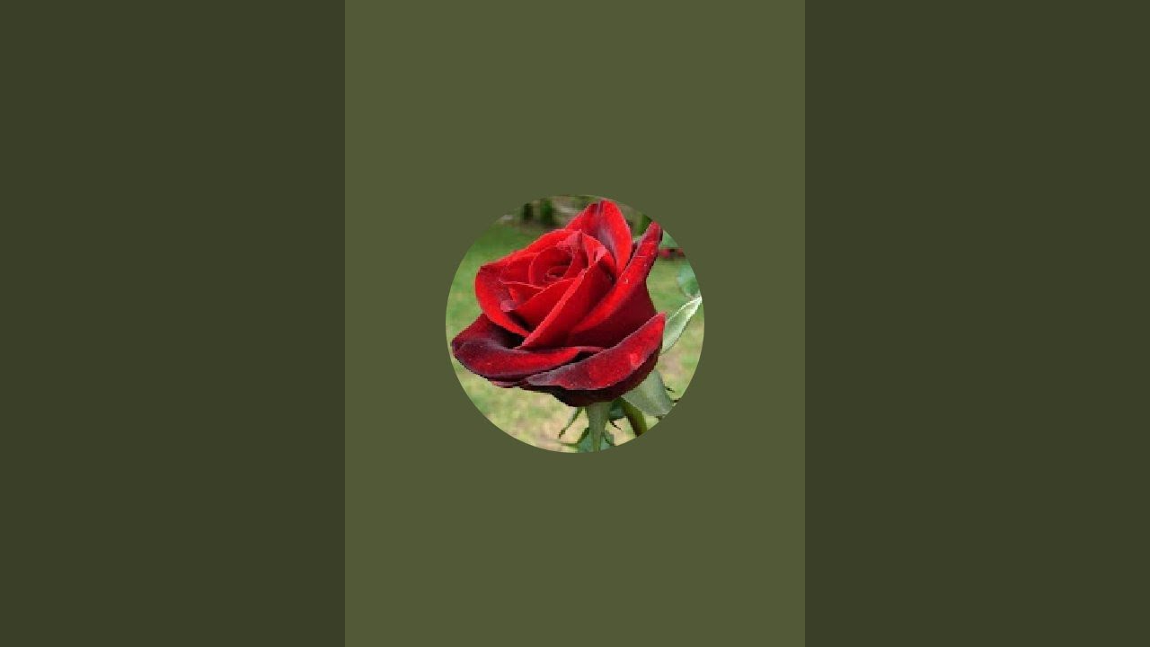 Rohit 7788 is live! - YouTube