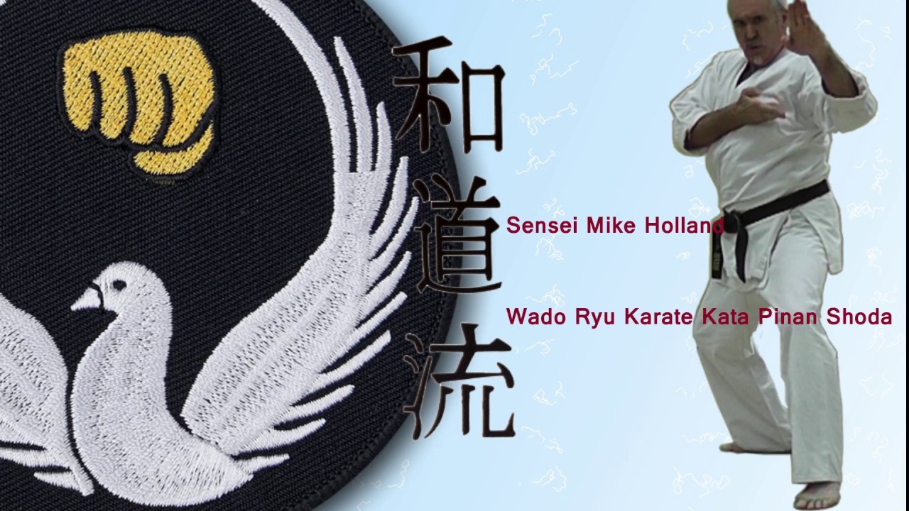 Wado Ryu Karate Kata Pinan Shodan - YouTube