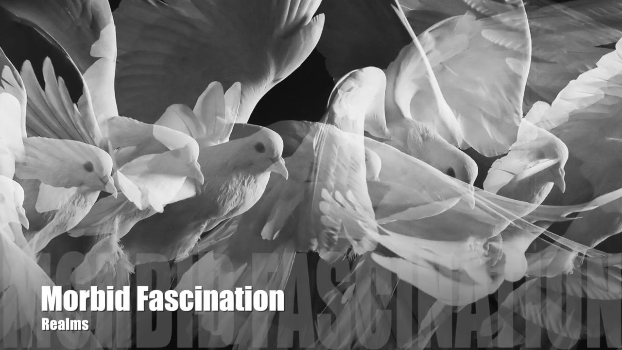 Realms - Morbid Fascination - YouTube